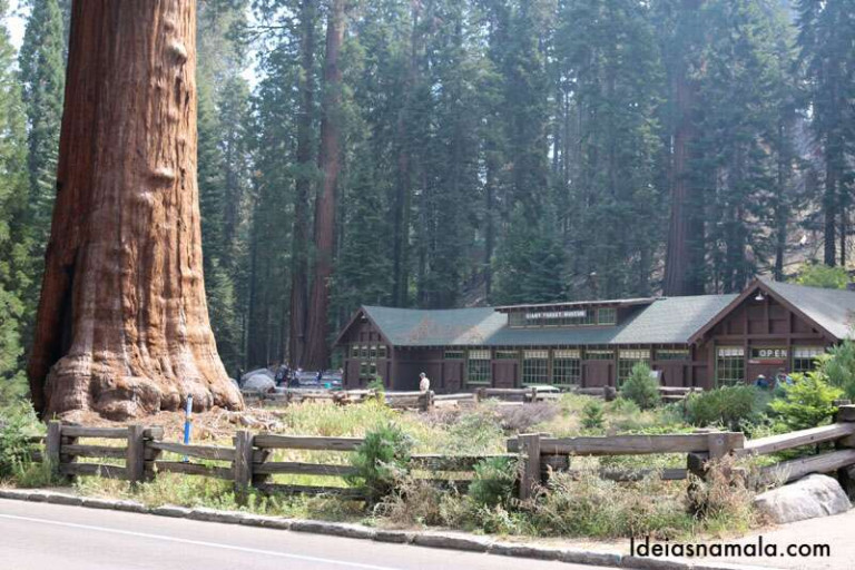 Sequoias National Park: Guia completo com dicas imperdíveis