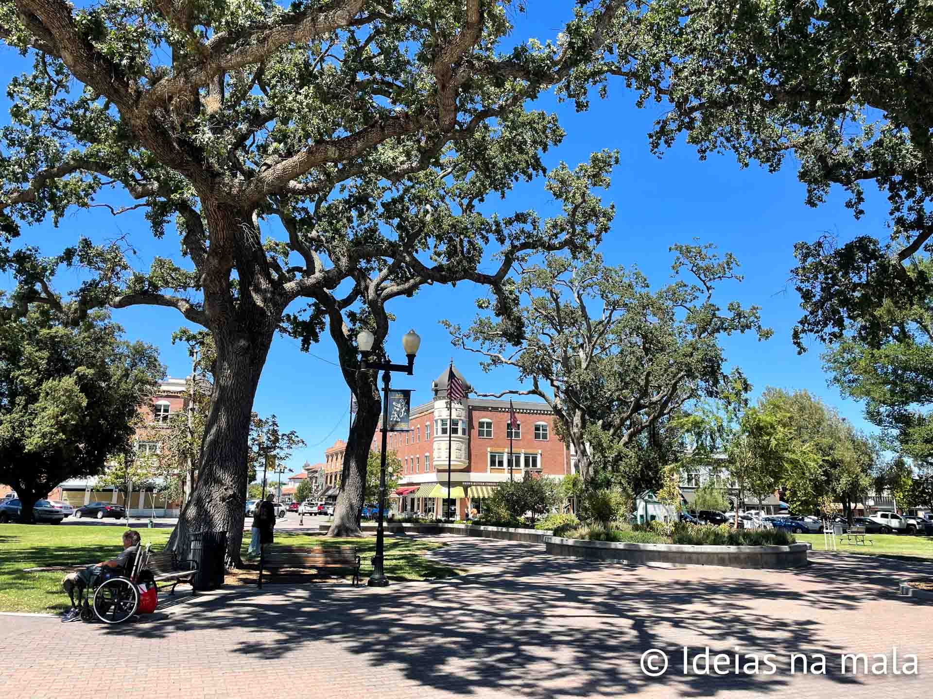 Paso Robles na Califórnia: Saiba o que fazer + Melhores Vinícolas