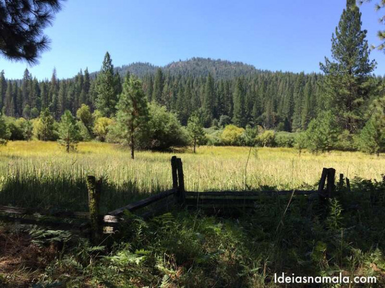 Yosemite Park: Guia completo e Dicas Imperdíveis | Ideias na mala