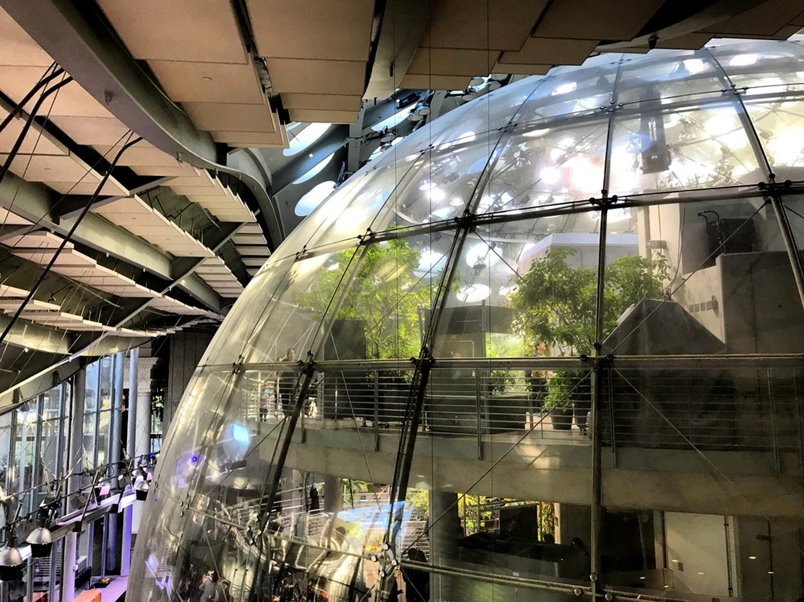 California Academy of Science em San Francisco: Uma visita incrível