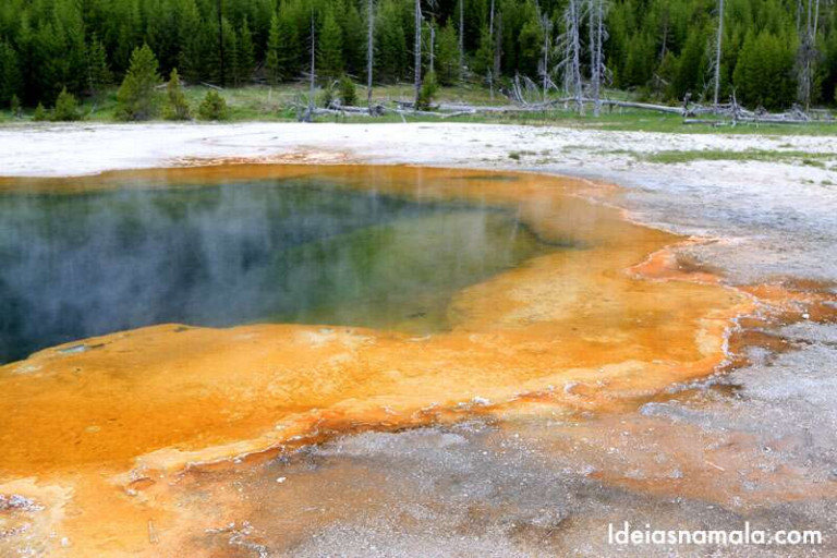 Yellowstone Park: guia completo para explorar o parque