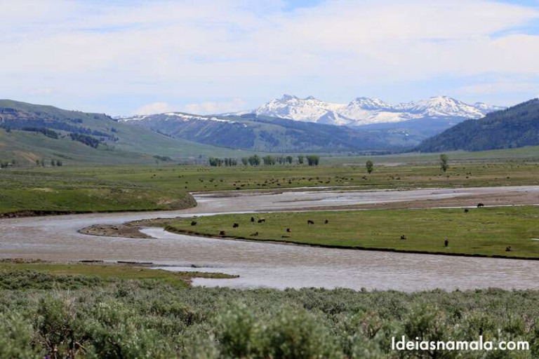 Yellowstone Park em 10 paradas inesquecíveis - Ideias na mala
