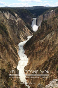 Yellowstone Park: guia completo para explorar o parque