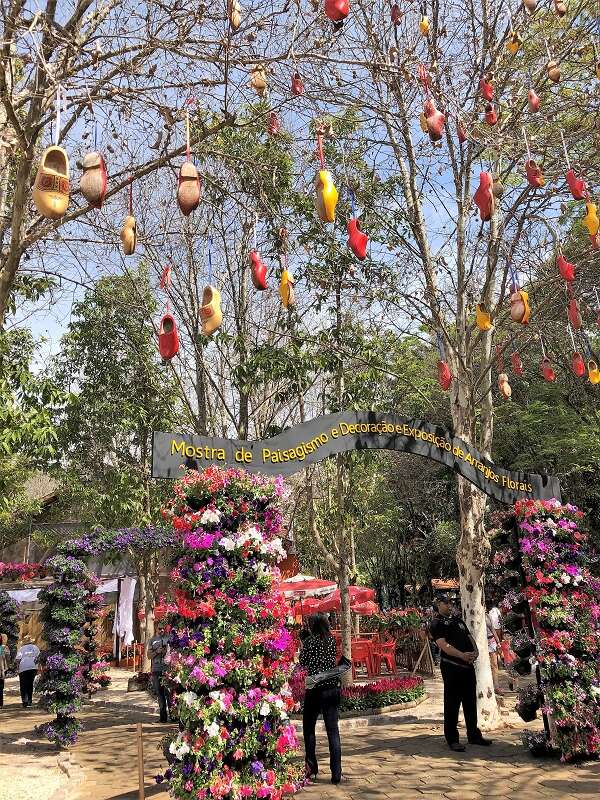 Descubra a Expoflora:a maior exposição de flores da América Latina