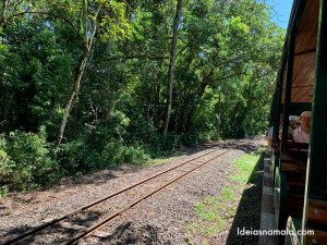 Foz do Iguaçu: roteiro de 3 dias com crianças, dicas de passeios e mais!