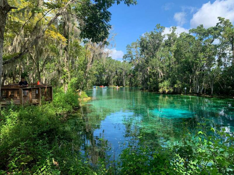 O que fazer em Ocala na Flórida: 9 Dicas incríveis de passeios.