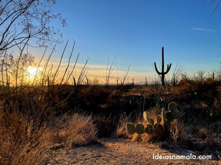 O que fazer em Tucson no Arizona - Dicas para aproveitar a viagem