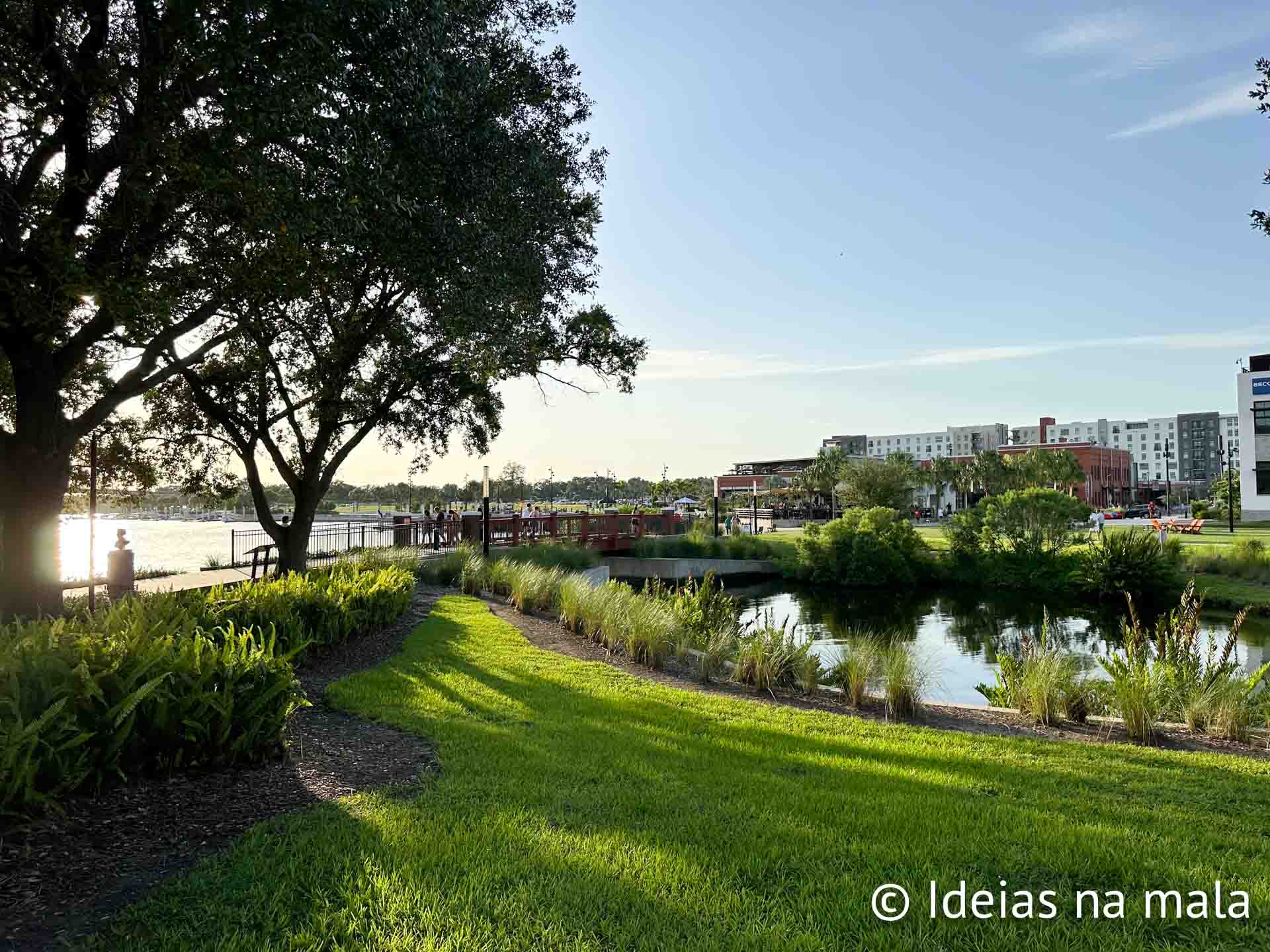 O que fazer em Tampa: 20 pontos turísticos imperdíveis - Ideias na mala