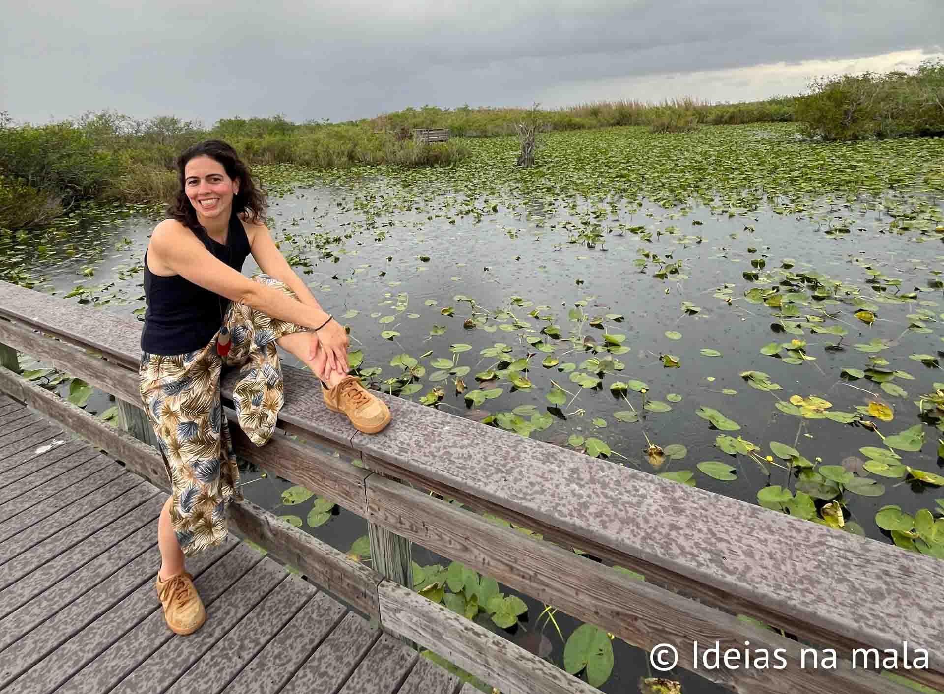 Como visitar o Everglades saindo de Miami - Roteiro Completo
