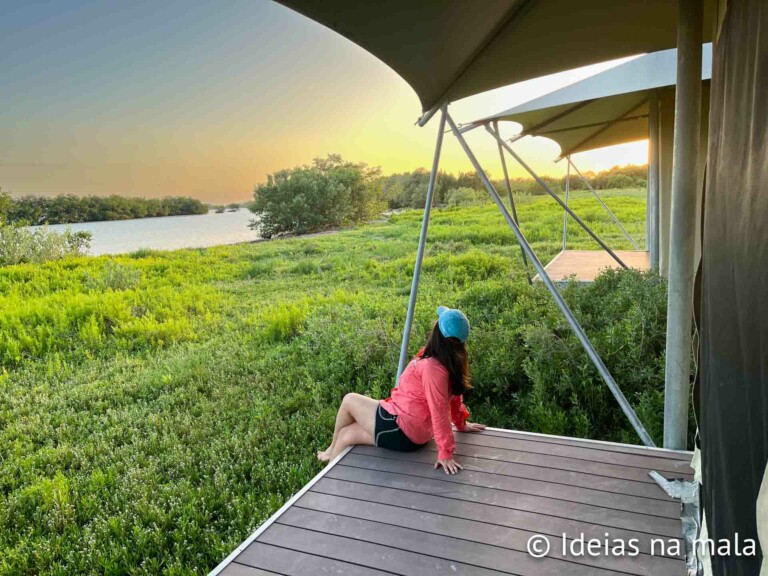 Como visitar o Everglades saindo de Miami - Roteiro Completo