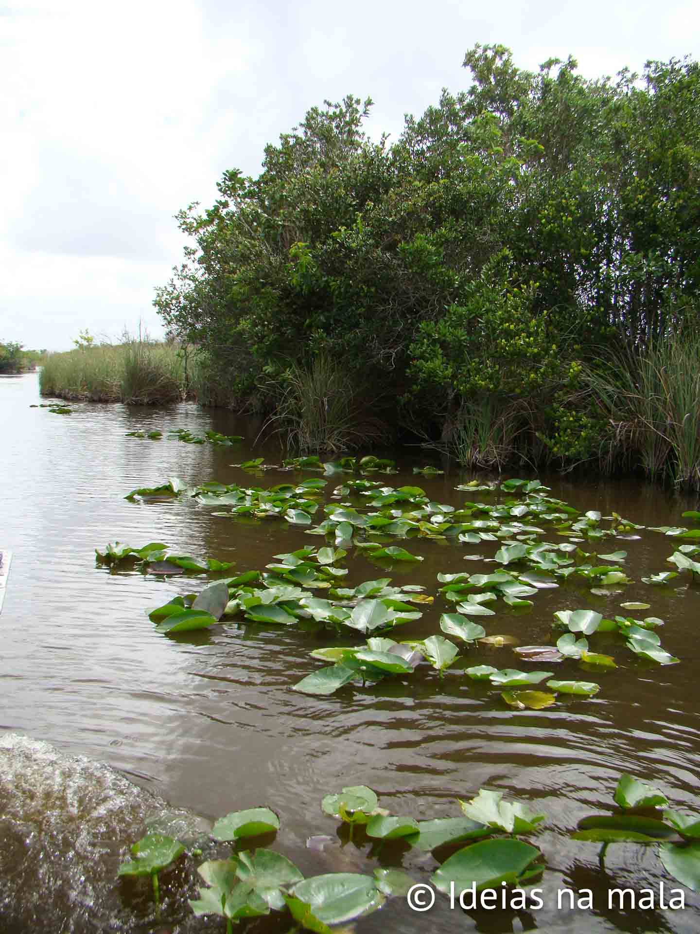 Como visitar o Everglades saindo de Miami - Roteiro Completo
