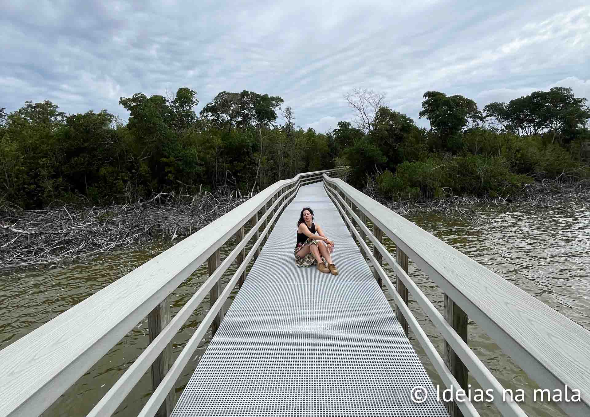 Como visitar o Everglades saindo de Miami - Roteiro Completo