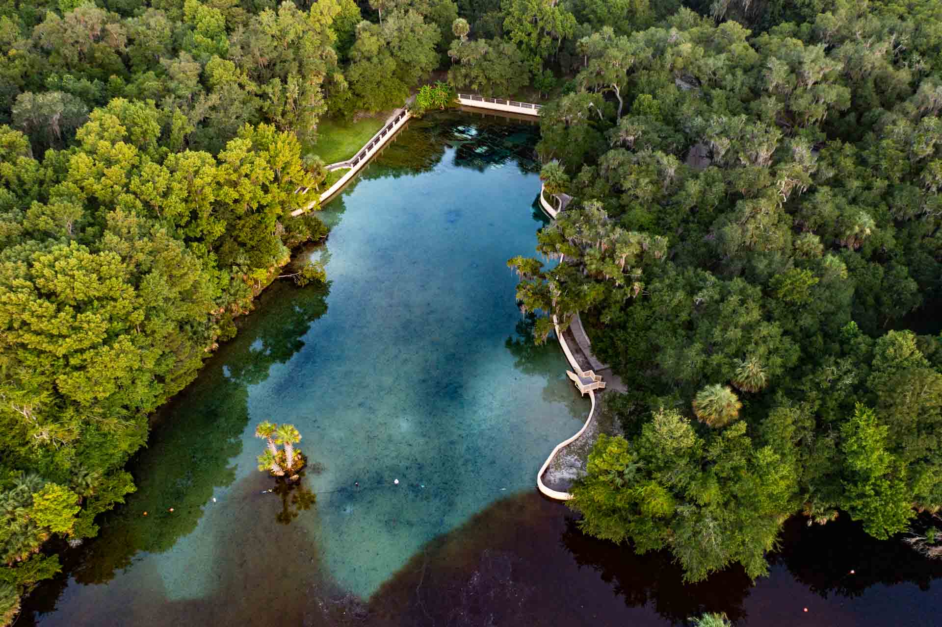 O que fazer em Ocala na Flórida: 9 Dicas incríveis de passeios.