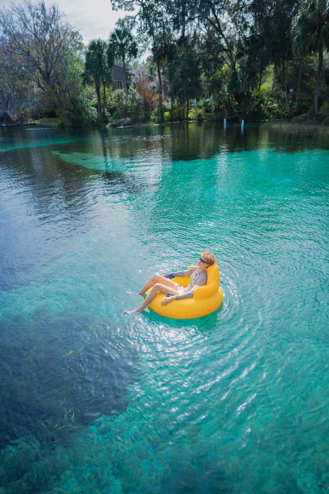 O que fazer em Ocala na Flórida: 9 Dicas incríveis de passeios.