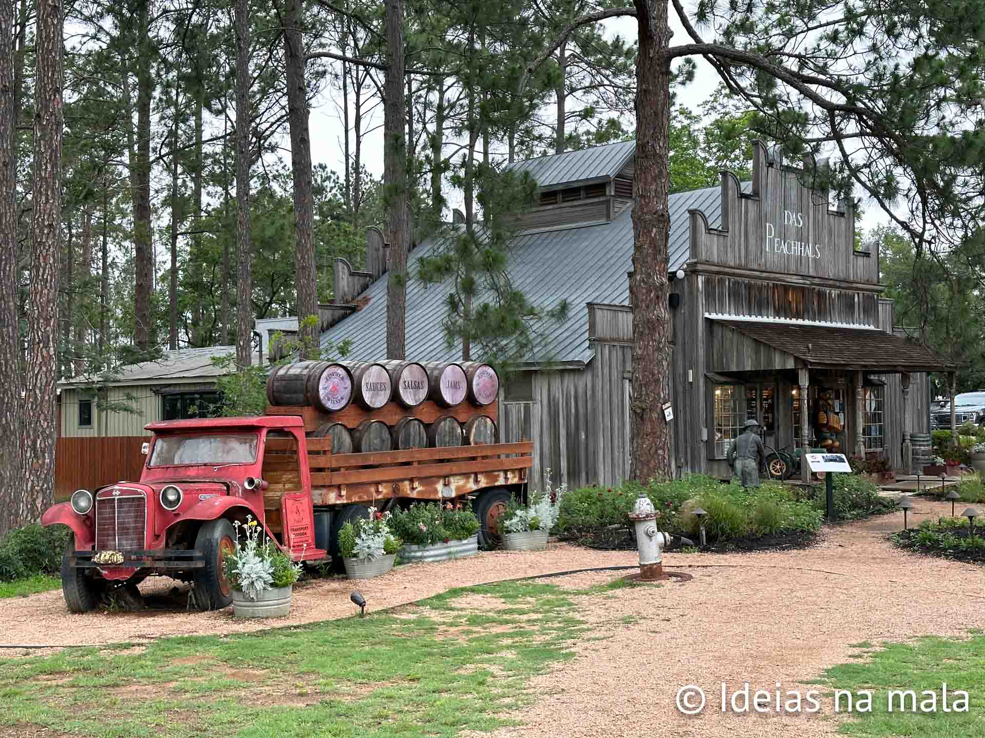 Fredericksburg no Texas: O que fazer + Melhores vinícolas