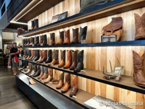 Austin Texas: 19+ Dicas do Que Fazer (Post Completo)