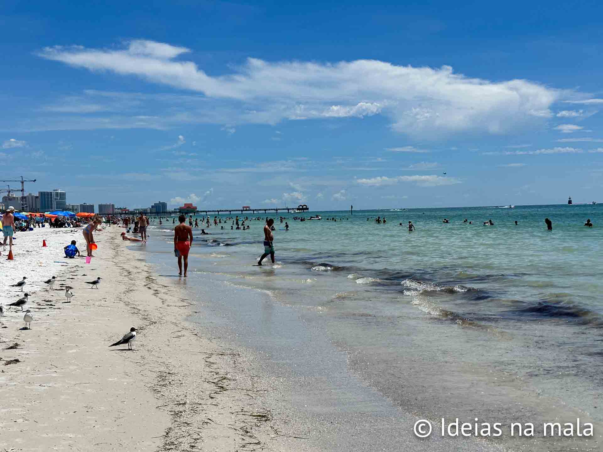 Praia de Clearwater: 10 melhores experiências na região