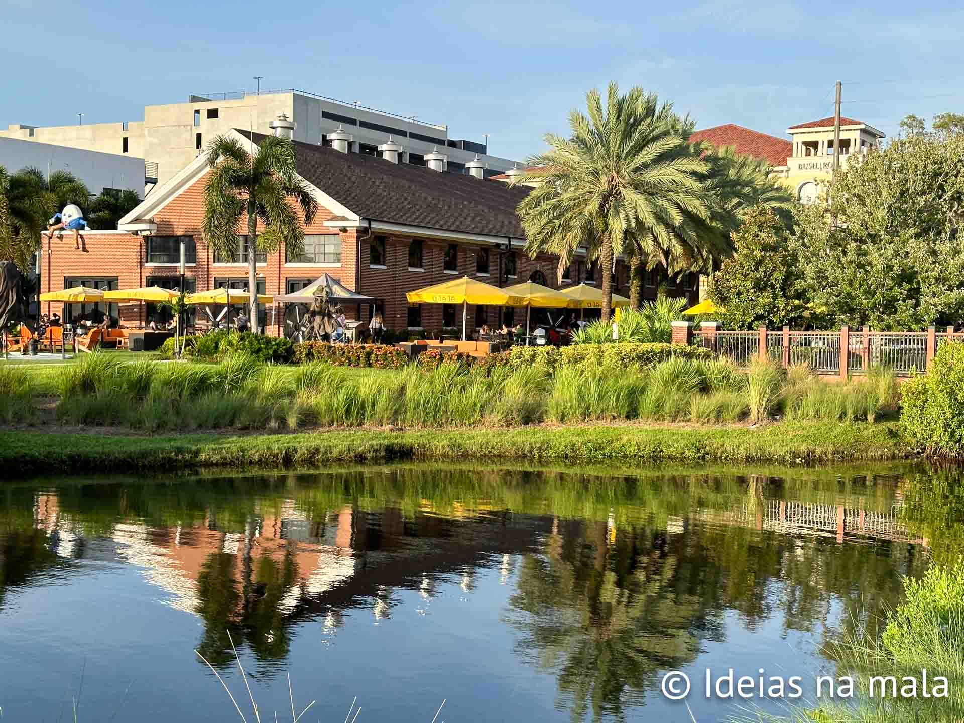 Tampa com crianças: Roteiro de 3 dias em família - Ideias na mala