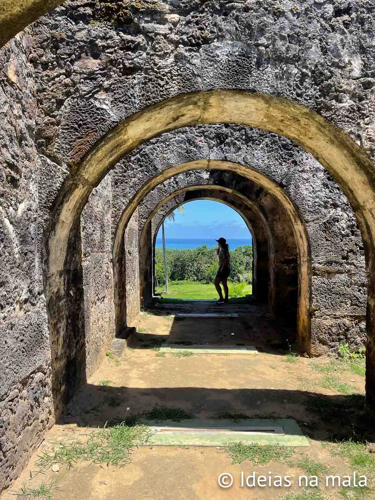 O que fazer na Praia do Forte: melhores passeios e dicas