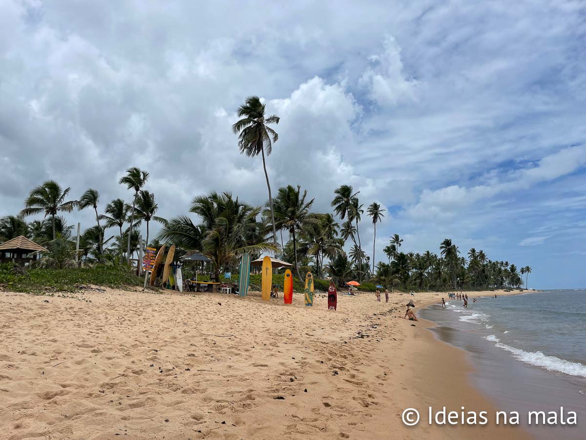 O que fazer na Praia do Forte: melhores passeios e dicas